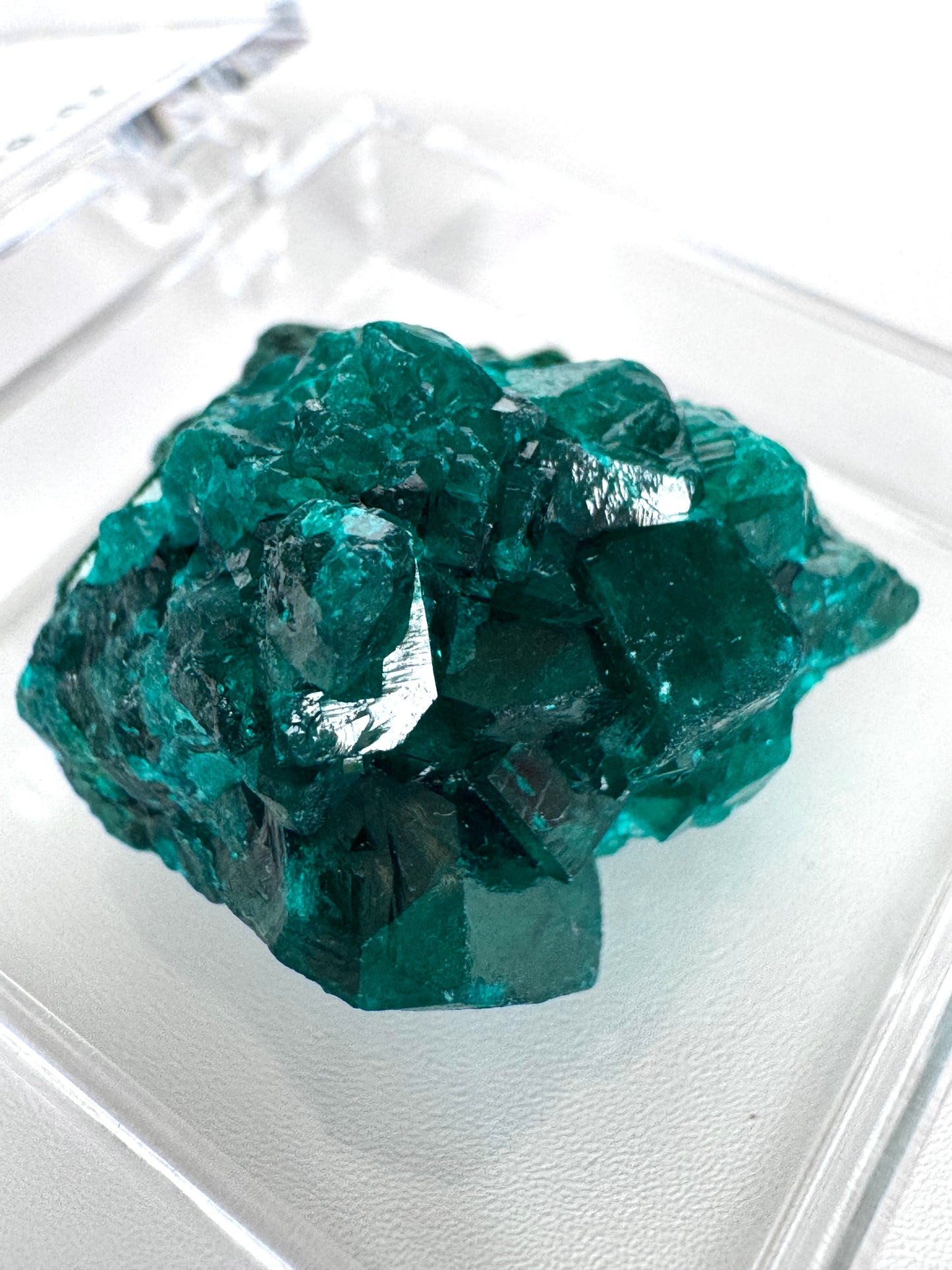 Dioptase Specimen 4.7g NZ | Xina Studios