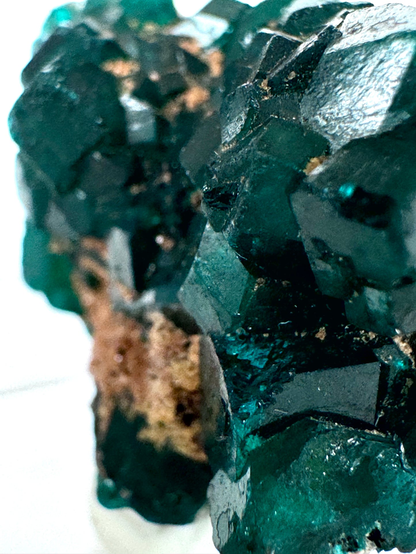 Dioptase Specimen 10.5g NZ | Xina Studios